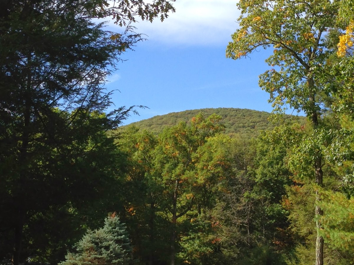 Blazing New Trails | Raising Drama